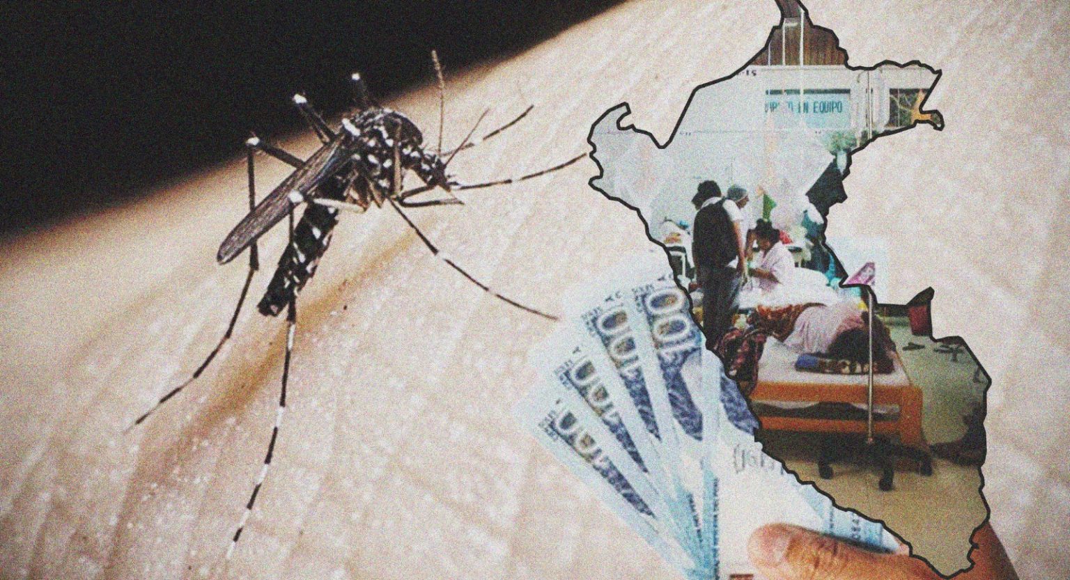 Dengue enciende alertas en Perú: estas son las regiones con mayor ...