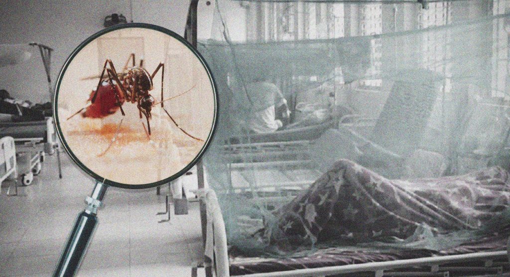 Dengue en Perú: Piura, Loreto y Ucayali registran un acelerado aumento ...